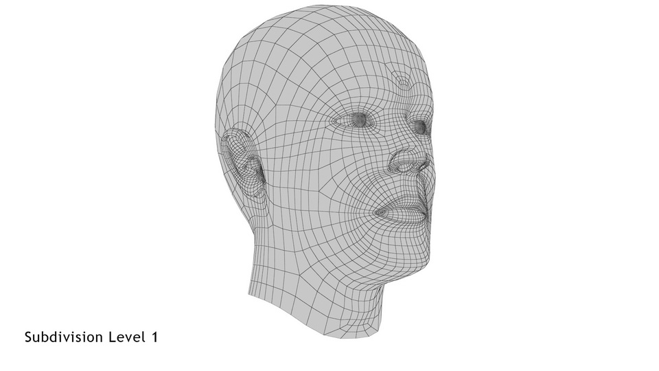 Lowpoly Head Unwrapped - 3D Models for Professionals :: adept3D