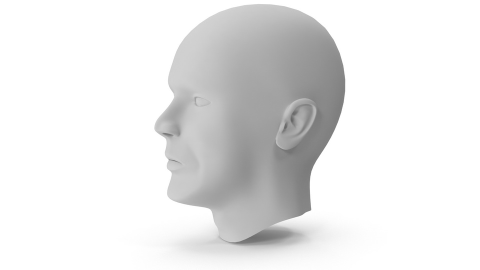 Lowpoly Head Unwrapped - 3D Models for Professionals :: adept3D