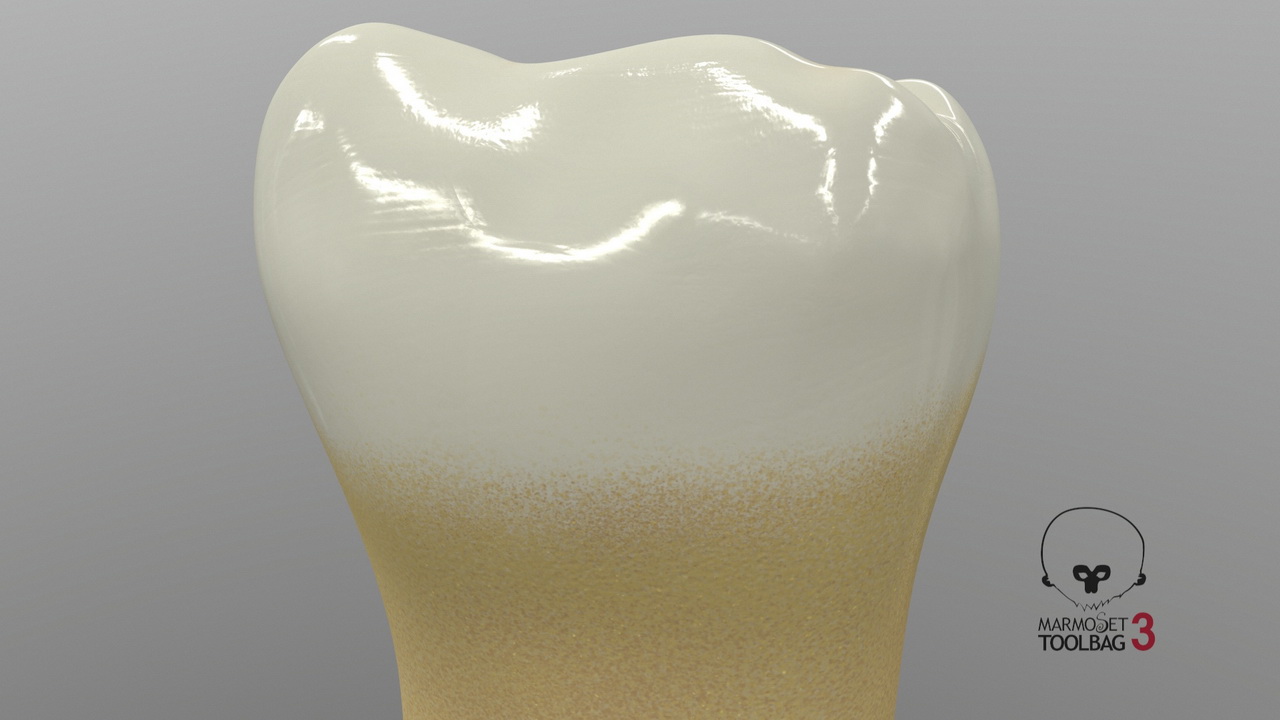 Human Teeth Lower Second Molar - 3D Models for Professionals :: adept3D