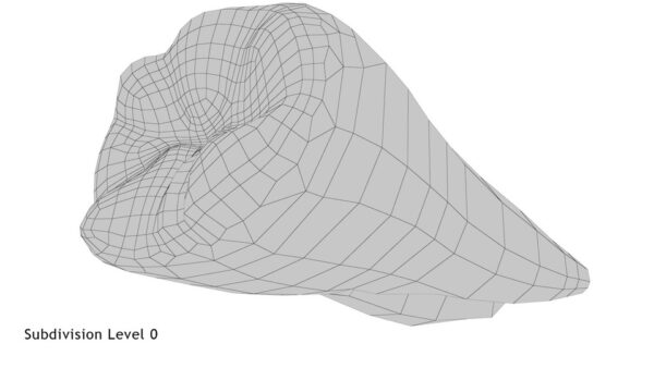 3D model Human Teeth Lower First Molar - 3D Models for Professionals ...